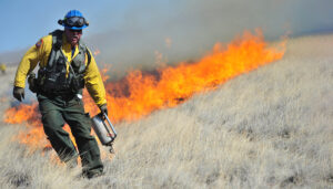 Fire-Adapted Communities Roadmap and Dashboard - Ascent