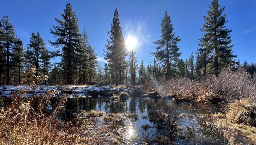 Community Protection Project ESA Biological Assessment - Ascent