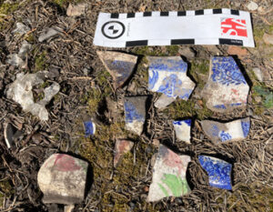 Last Chance Road and Skylark Ranch Forest Health Projects - Ascent